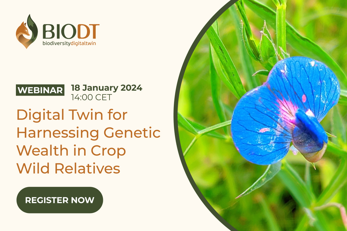Digital Twin for Genetic Wealth in Crop Wild Relatives | BioDT